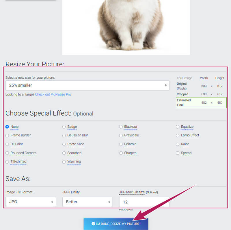 How To Resize Image Online 4 Best Tools To Try And Use