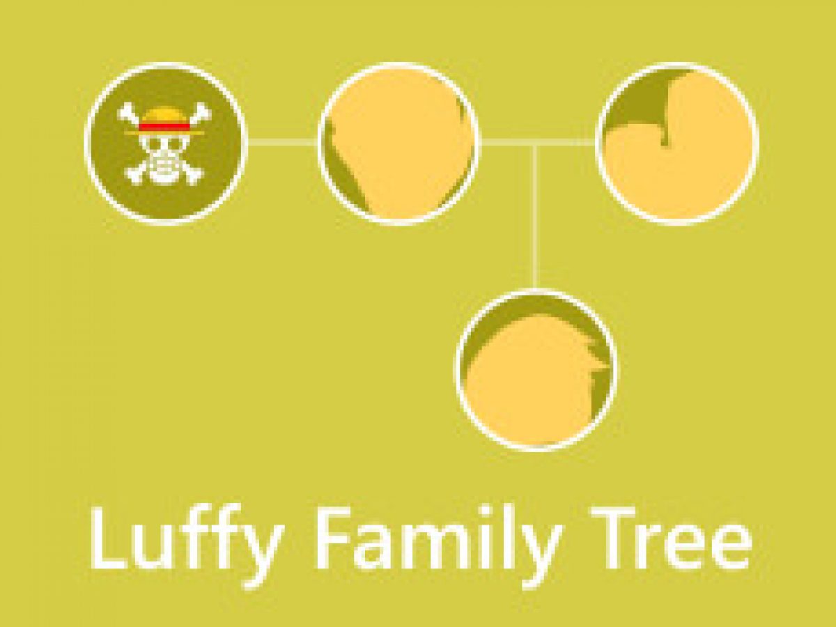 One Piece Monkey D Family Tree