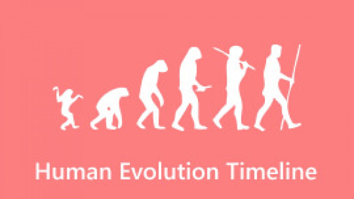 Clipart Evolution Of Man Timeline