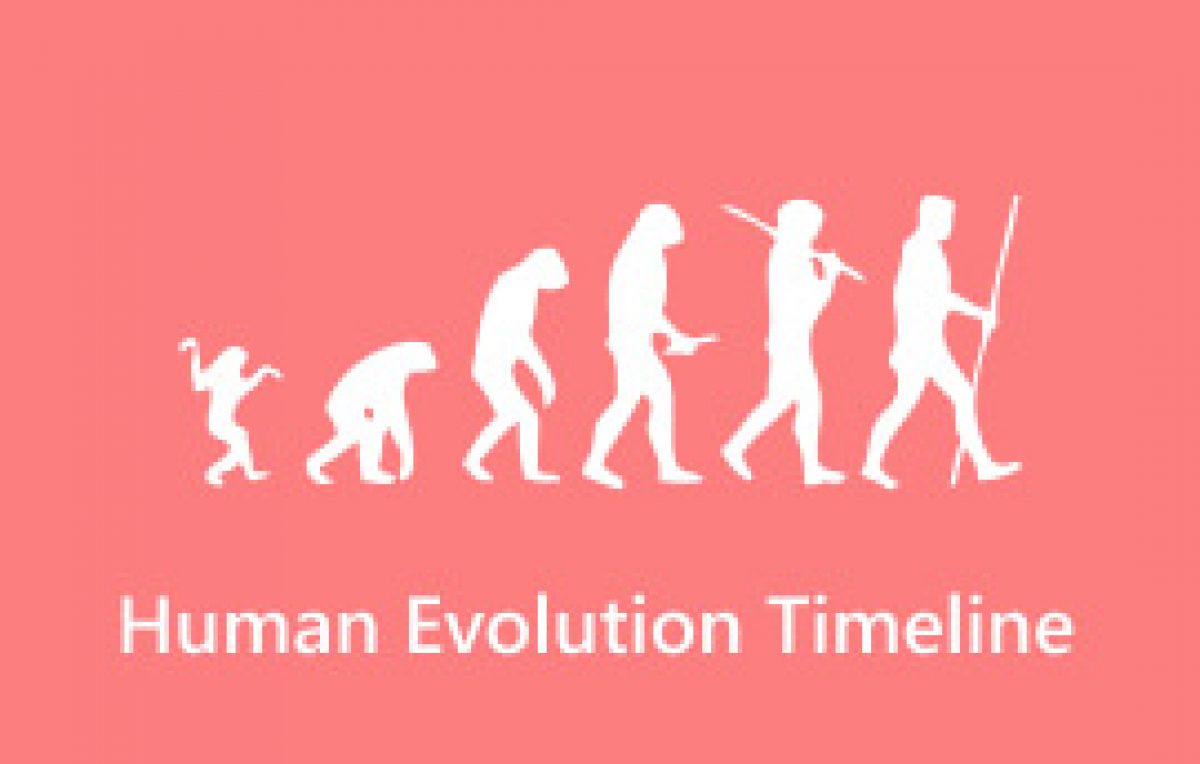 Human Evolution Cartoon
