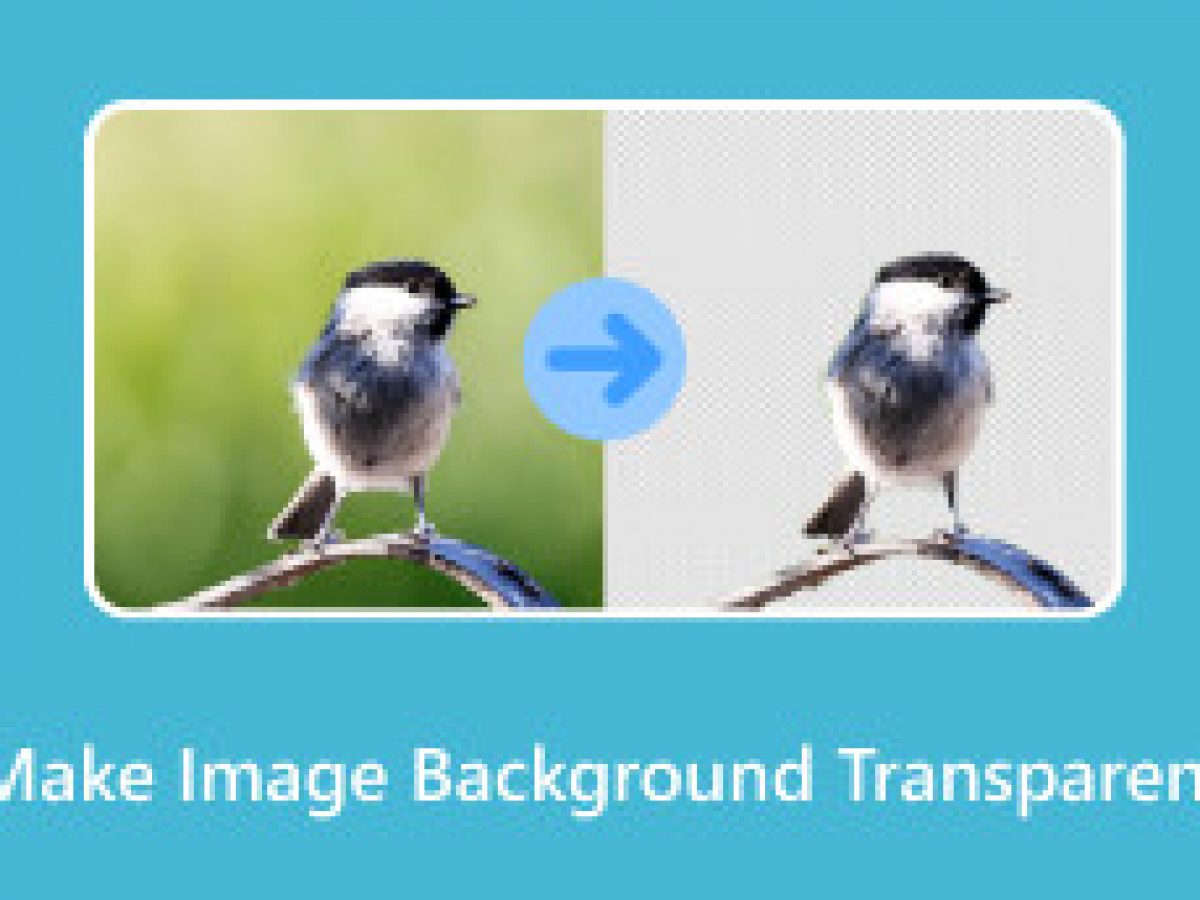 Making Transparent Background Make A Picture Transparent In Word