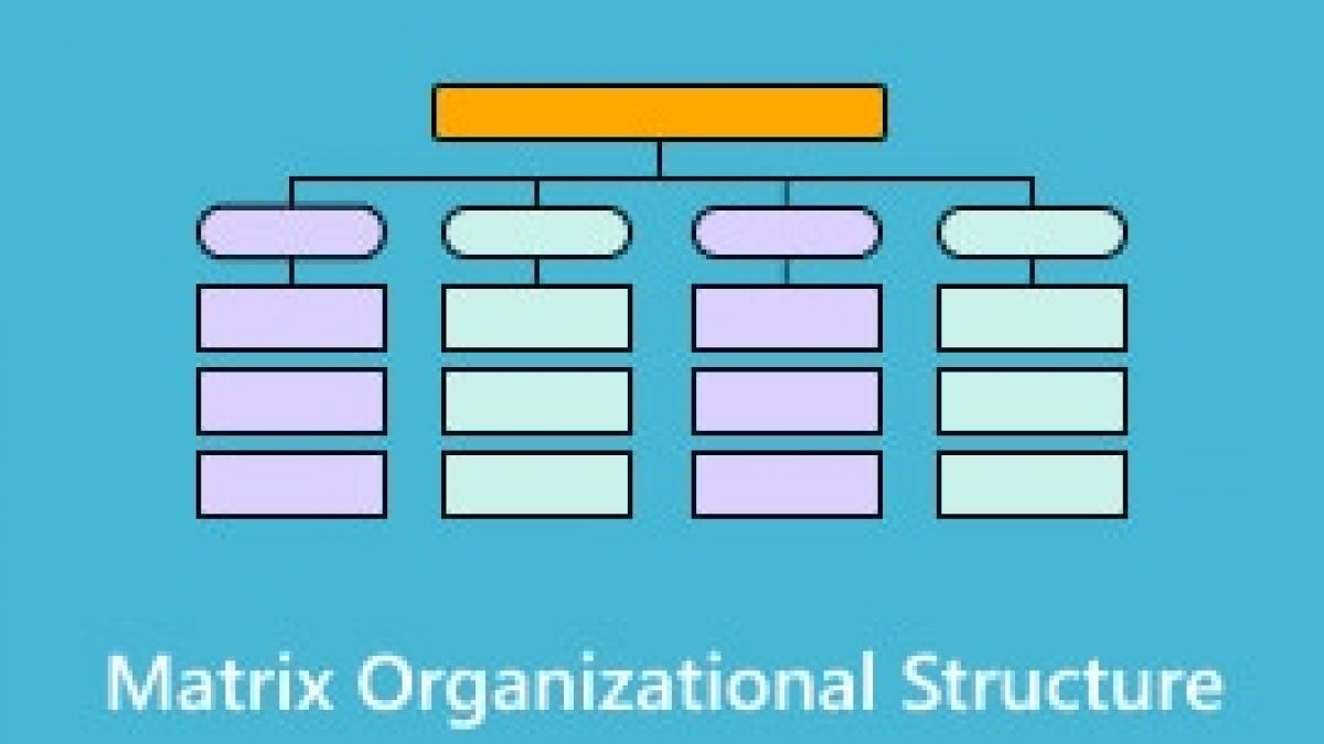 Matrix Organization Hd