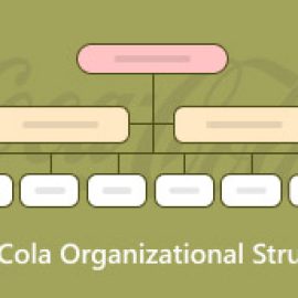 Coca Cola Organisational Chart